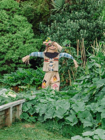 Oderings Garden Centres | Scarecrow - Make your Own