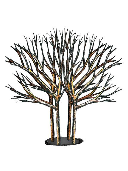 Oderings Garden Centres | Family tree planting