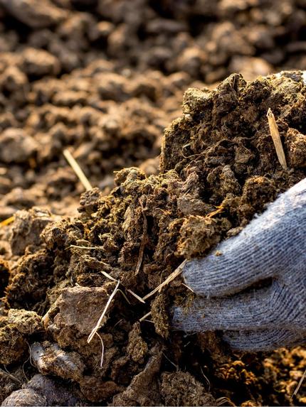 Oderings| The Secrets in the Soil -Kick-start Healthy Soil for Spring