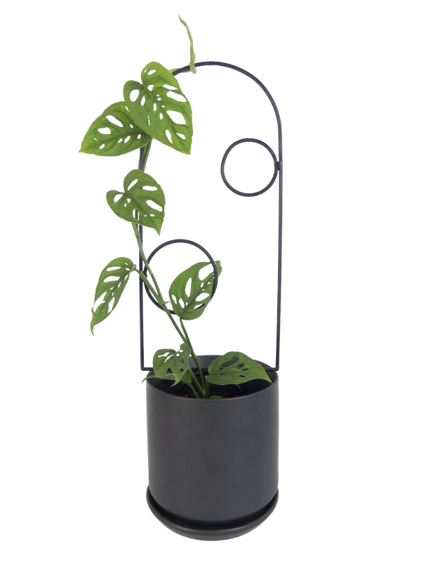 Garden Climbing Frames For Plants - Garden Design Ideas
