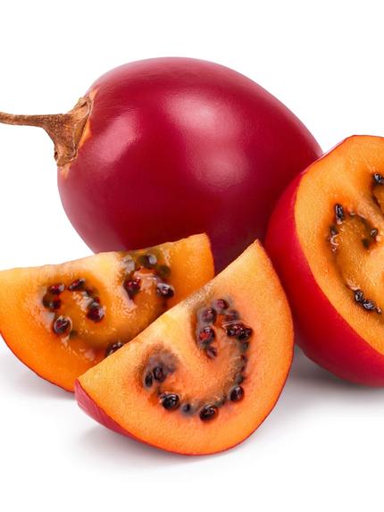 Oderings Garden Centres | Tamarillo: The Tree Tomato