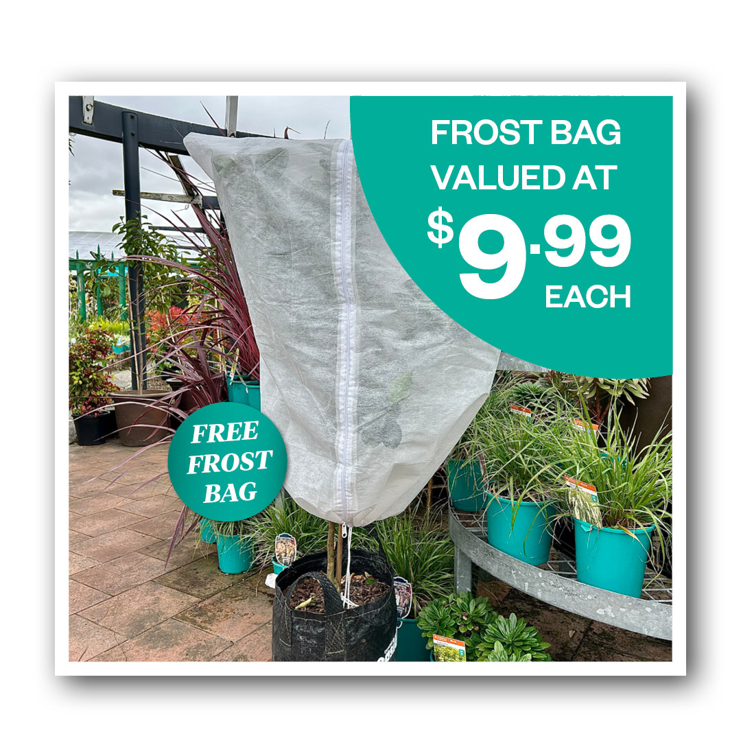 Oderings Garden Centres | Great quality plants. Shop for plants in our ...