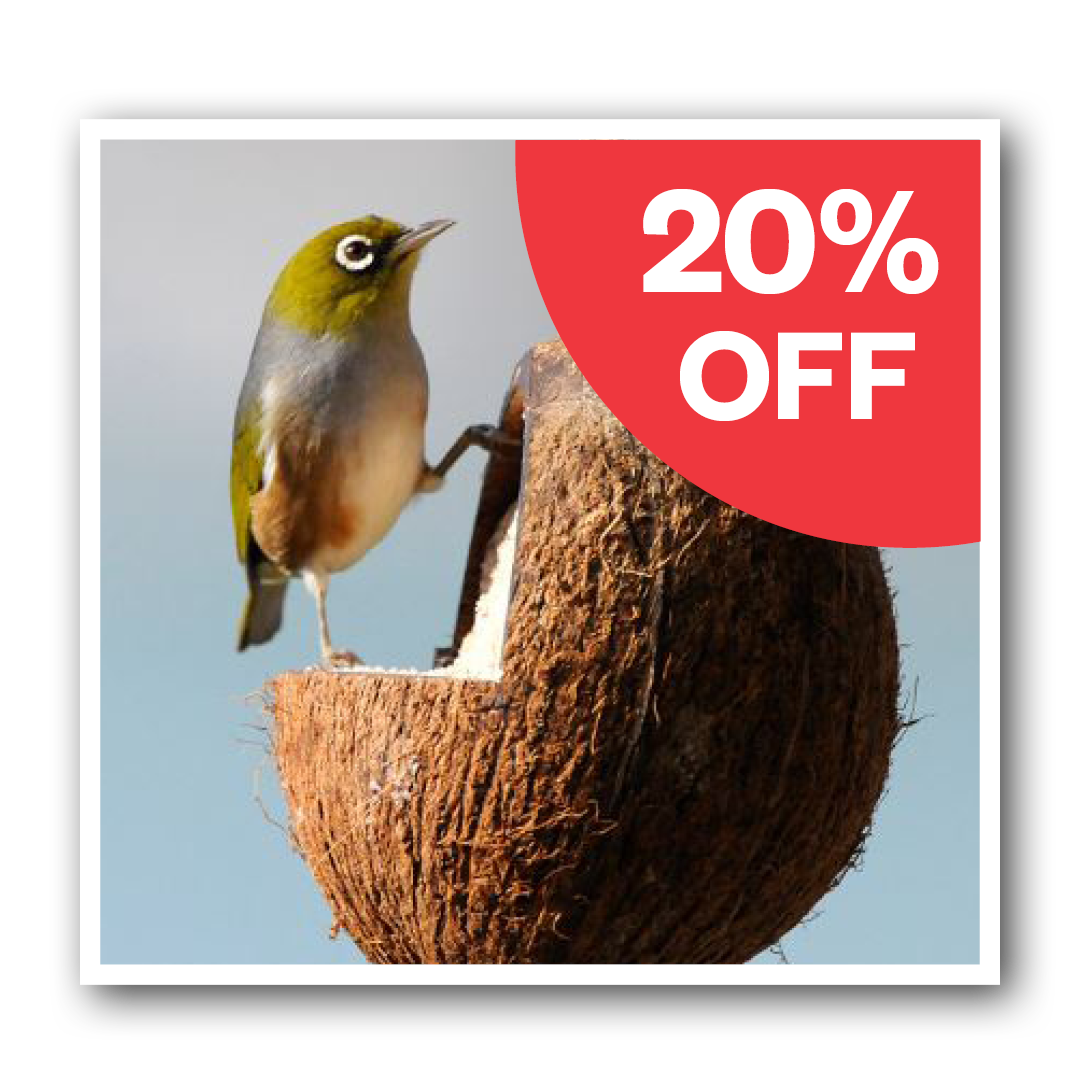 Oderings Garden Centres | Great quality plants. Shop for plants in our ...